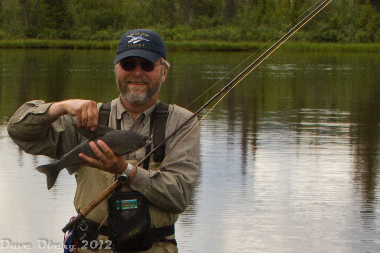 Dave Oberg | Regal Air - Alaska Flightseeing, Bear Viewing & Charters